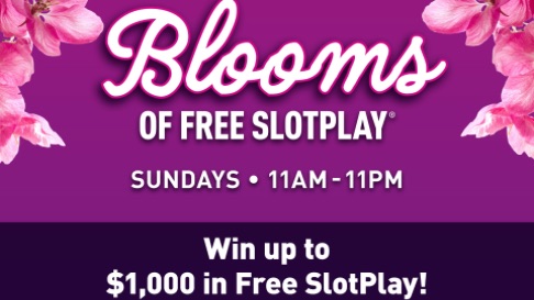 Casino Promotions: Win Cash, SlotPlay & Prizes | Hollywood Casino Tunica
